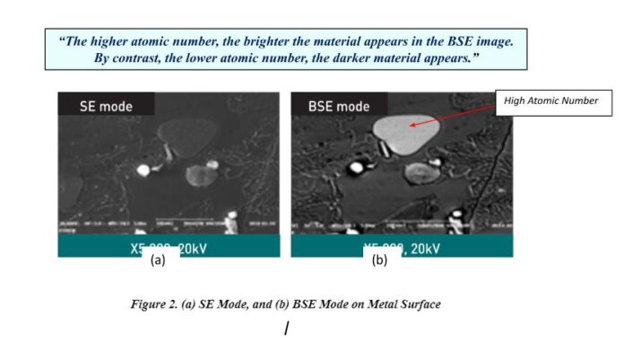 Yuk Lebih Mengenal Apa Itu Scanning Electron Microscope – SEM & Apa ...