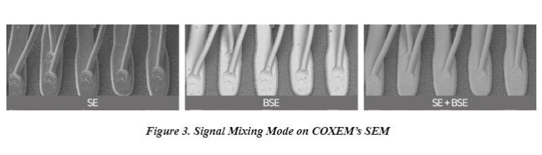 Yuk Lebih Mengenal Apa Itu Scanning Electron Microscope – SEM & Apa ...